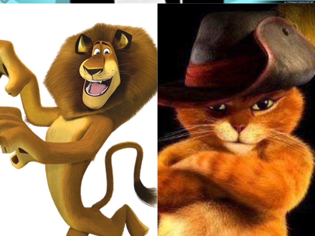 6 gatos mais famosos do cinema