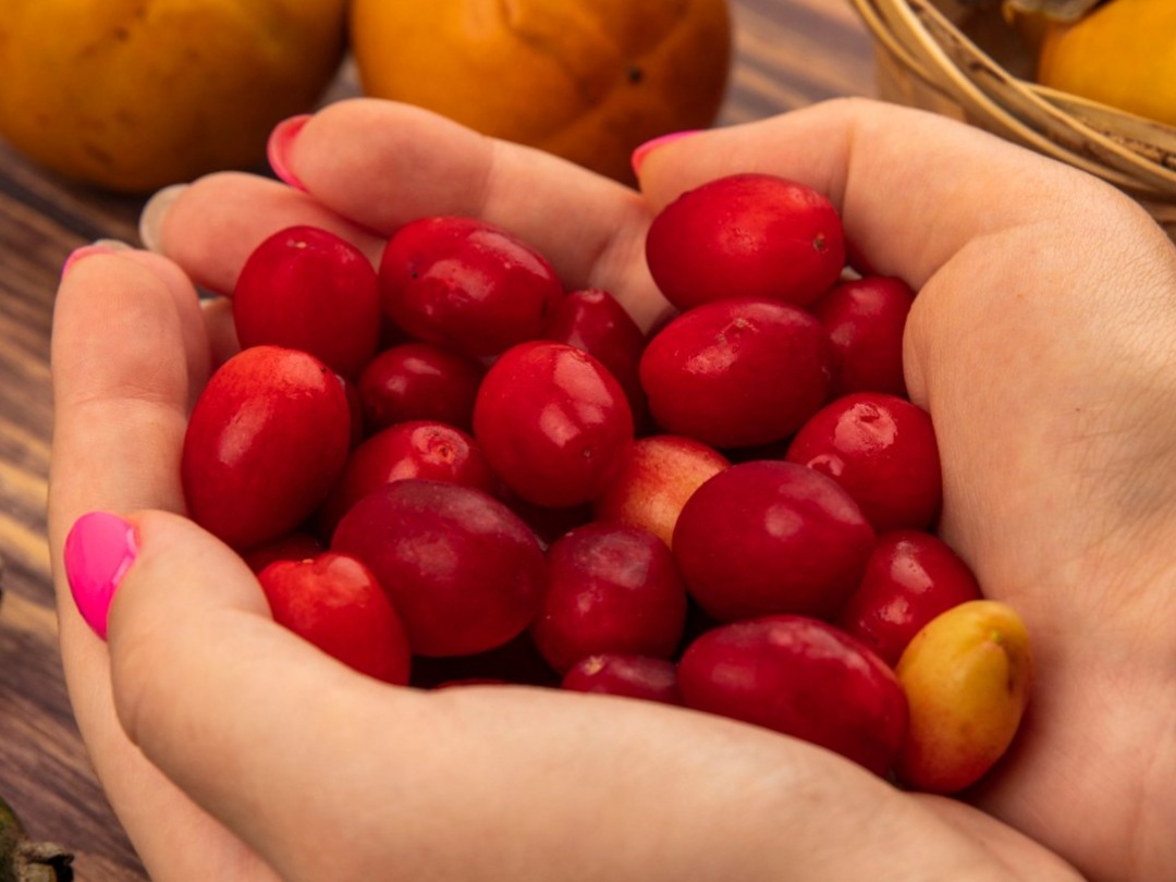 Conheça a fruta mais doce do mundo