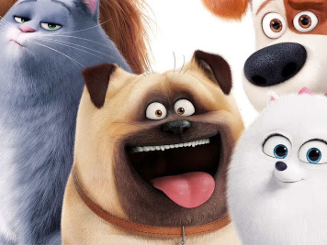 Saiba quais são as raças de cachorro do filme Pets